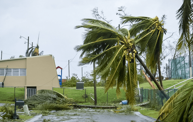 5 Tropical Storm and Hurricane Preparedness Tips